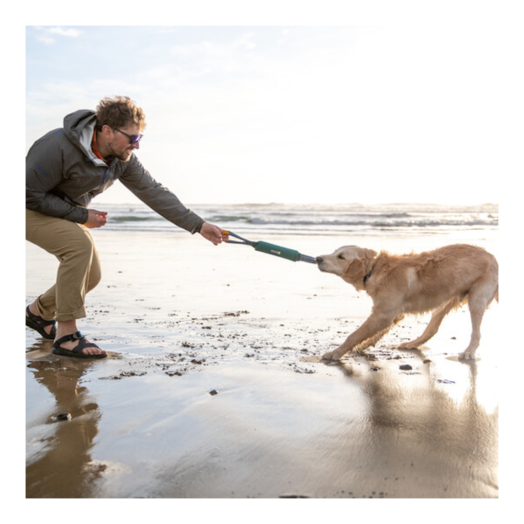 Ruffwear Pacific LOOP 〉 perfekter Spaß beim Spiel