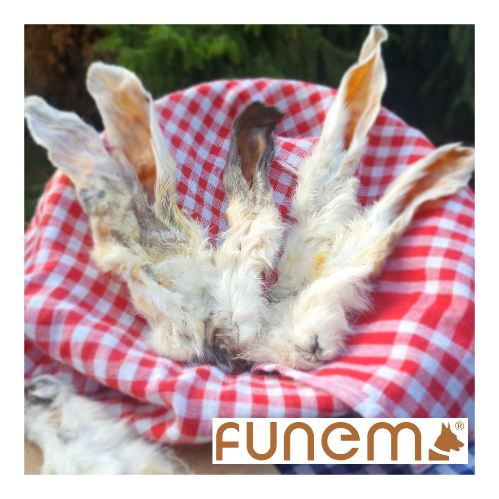 funem Hasenohren mit Fell überzeugend leckerer Kauartikel